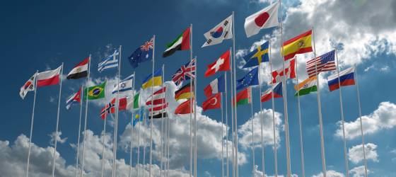 Oxgall - Comprador de Pedra de Fel de Boi | Explorando as tradições e ...